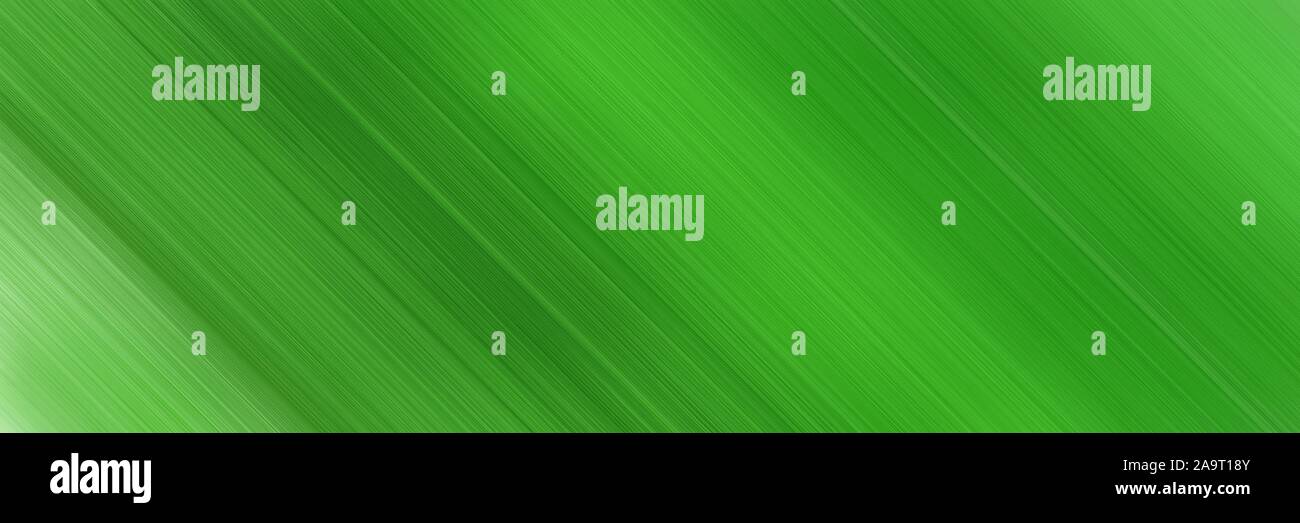 horizontal background banner with forest green, pastel green and ...