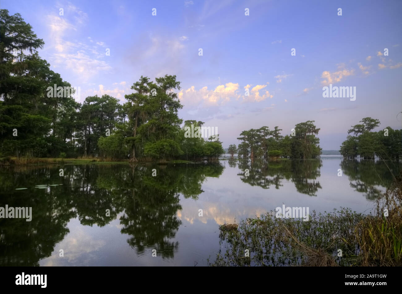 Serene water at Lake Martin, Breaux Bridge, Louisiana early morning ...