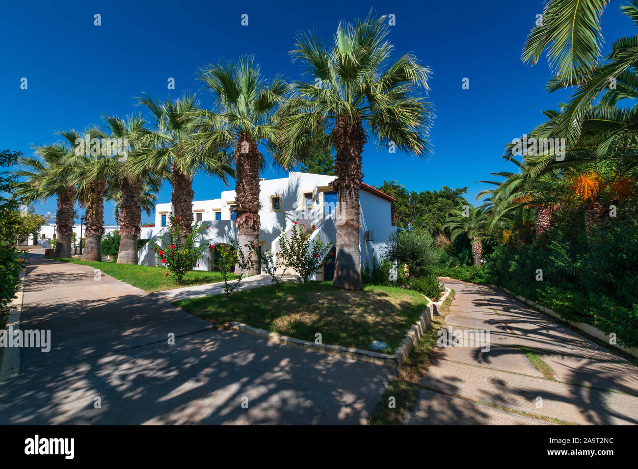 Nice view of the with palm trees in Hotel in Crete, Greece Stock Photo ...