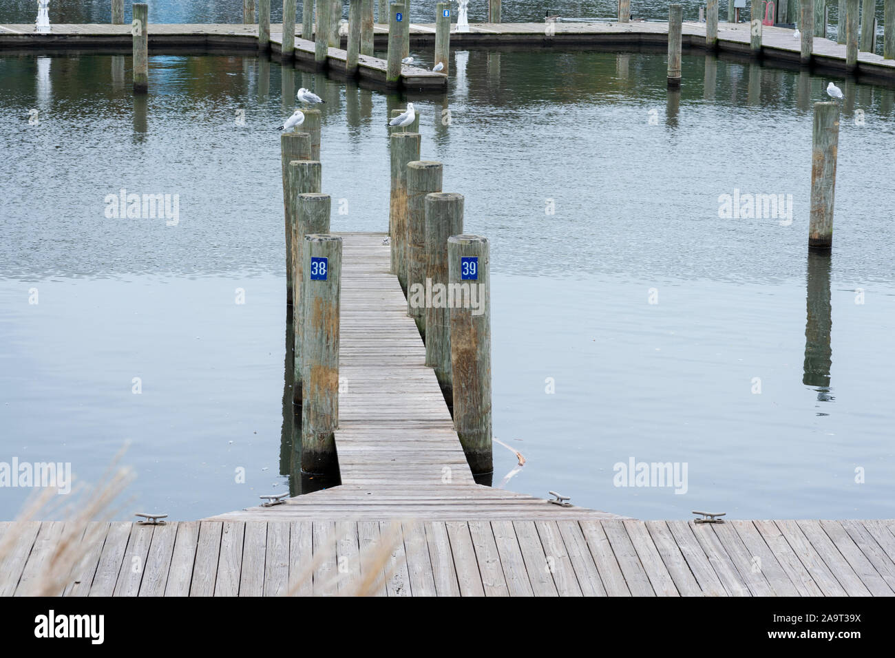 Enclosed docks hi-res stock photography and images - Alamy