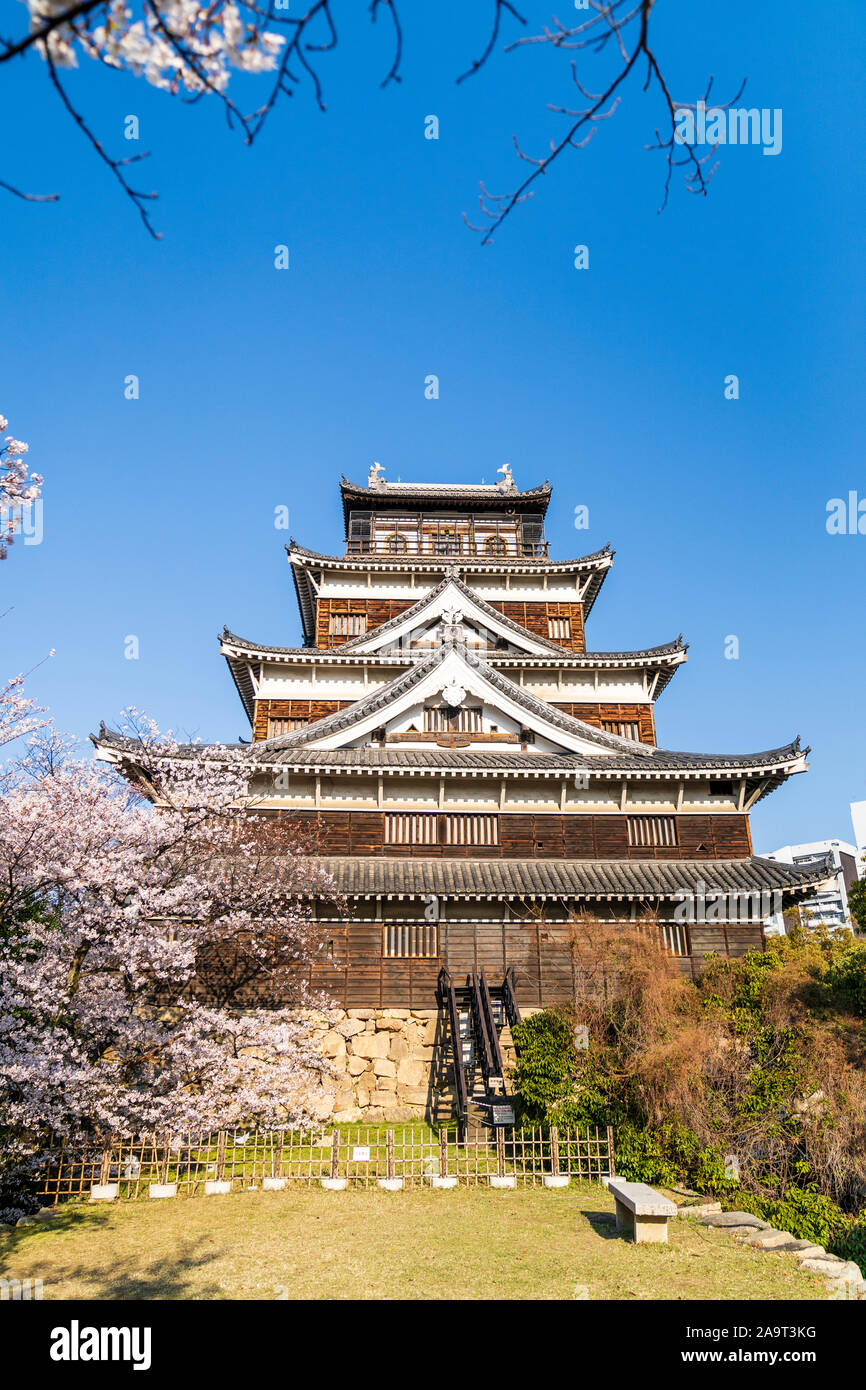 Hiroshima castle in Japan. Springtime with cherry blossoms, the main ...