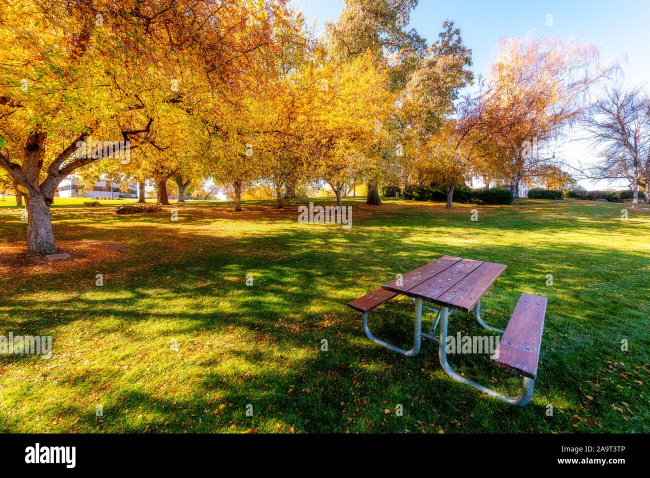 Picnic table in city park hi-res stock photography and images - Alamy