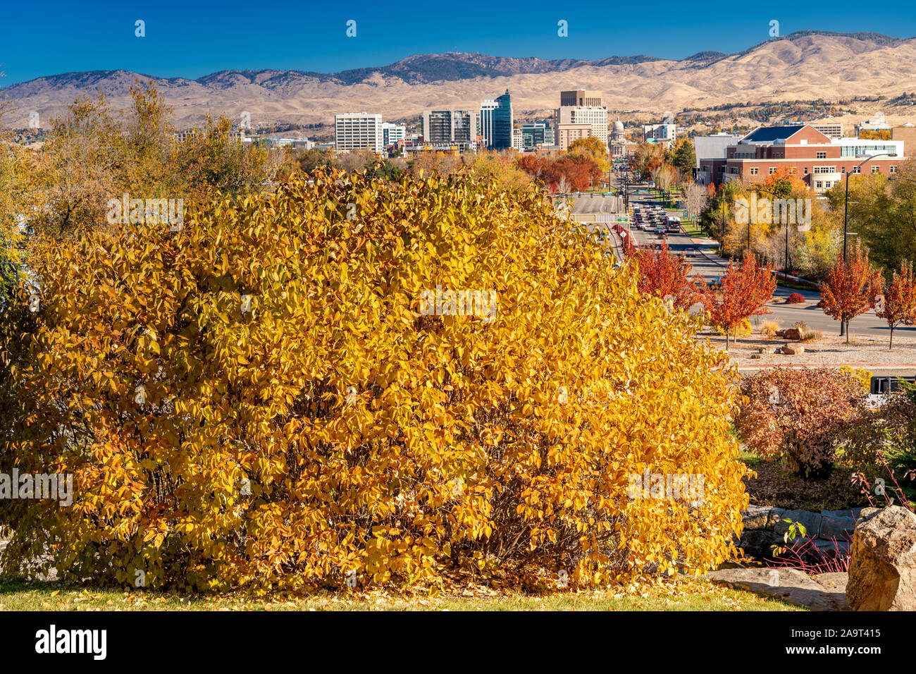 Beautiful fall colors and the Boise Idaho skyline Stock Photo - Alamy