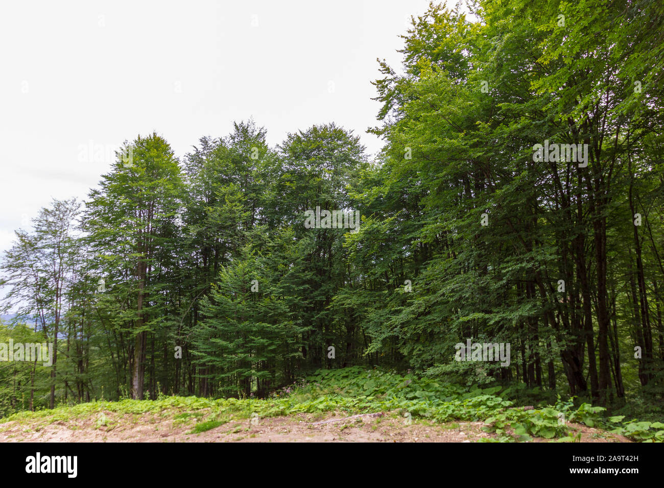 Russian yurt landscape hi-res stock photography and images - Alamy