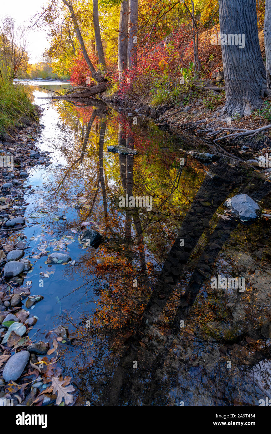 Still water in a stream reflection the fall colors from the forest ...