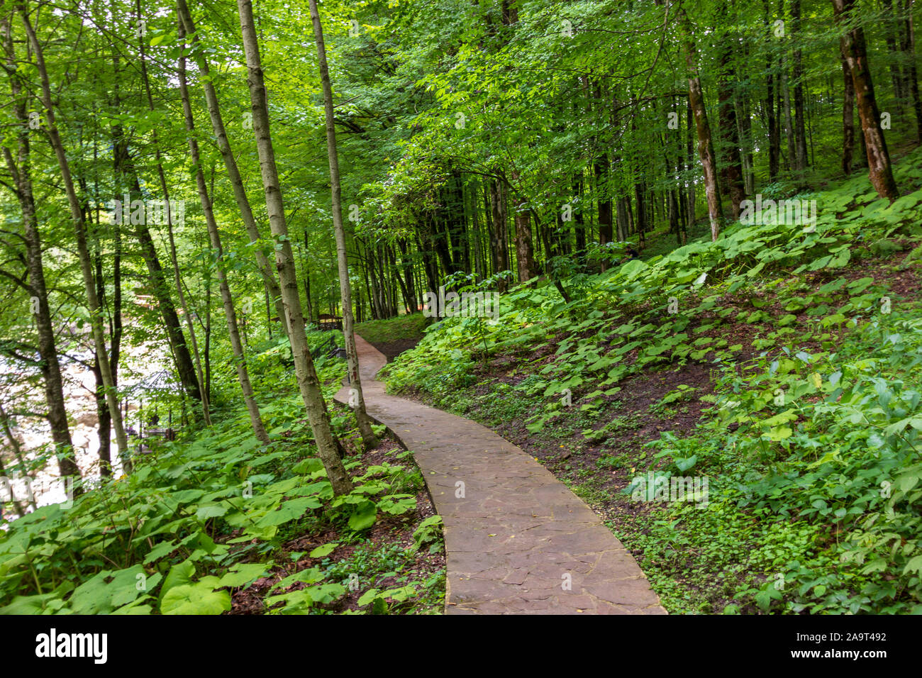 Ahki hi-res stock photography and images - Alamy