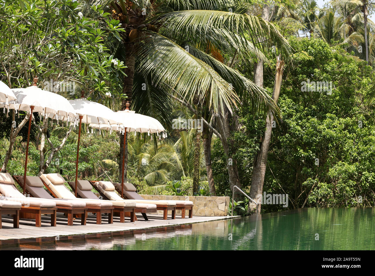 Beautiful infinity pool in a tropical garden, a relaxation area for ...