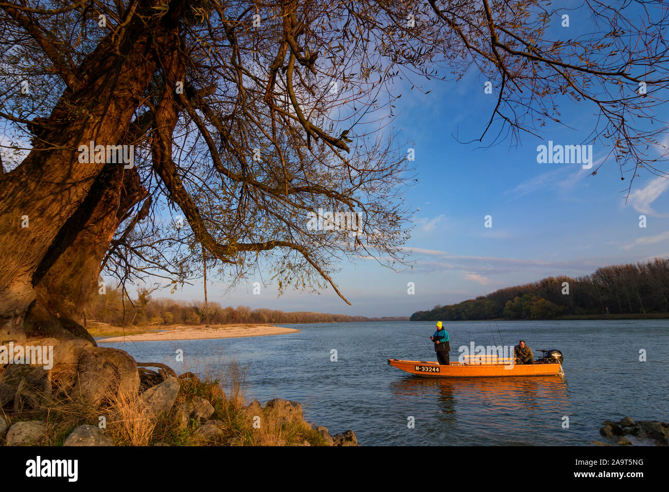 Nationalpark Donauauen, Danube-Auen National Park: river Donau (Danube ...