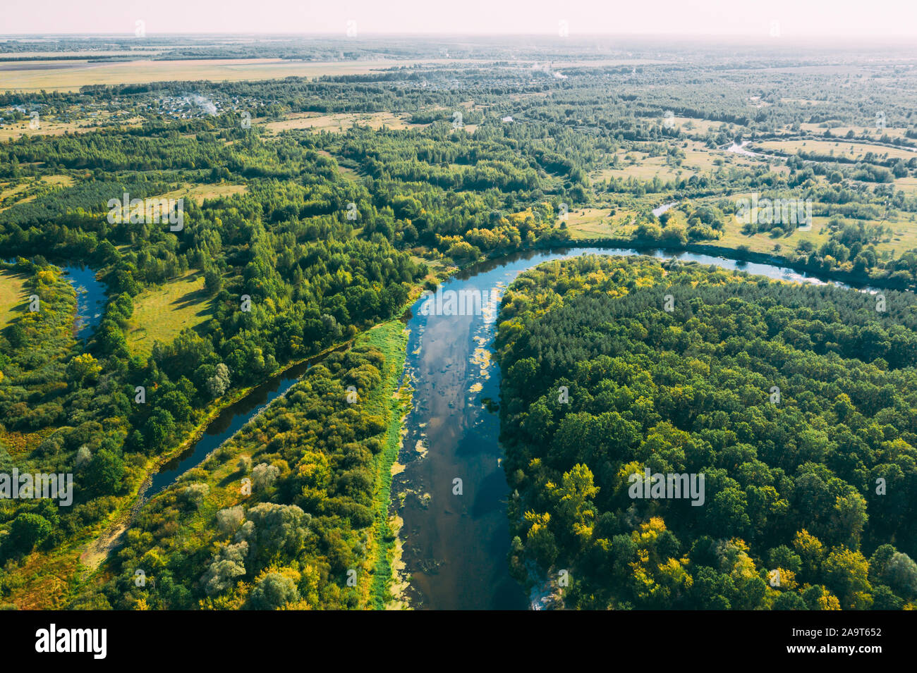 Aerial View Green Forest Woods And River Landscape In Sunny Summer Day ...