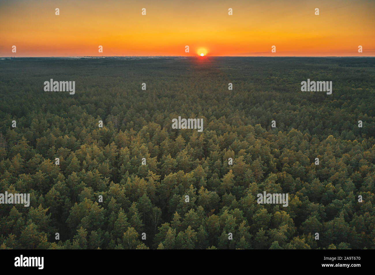 Aerial View Of Sunset Sky Above Green Forest Landscape In Evening. Top ...