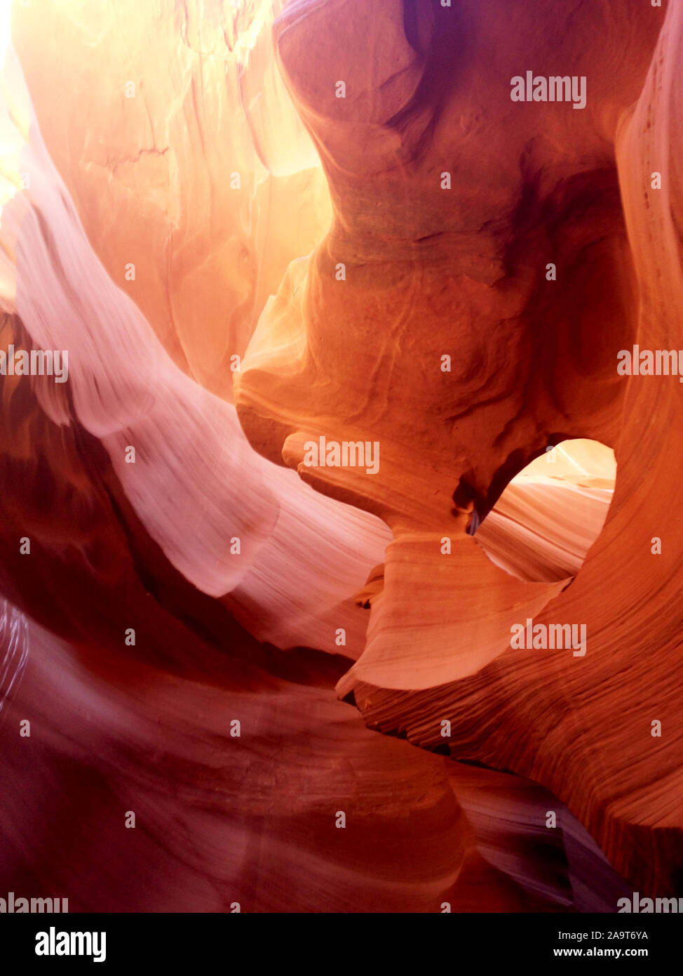 Lechee hi-res stock photography and images - Alamy