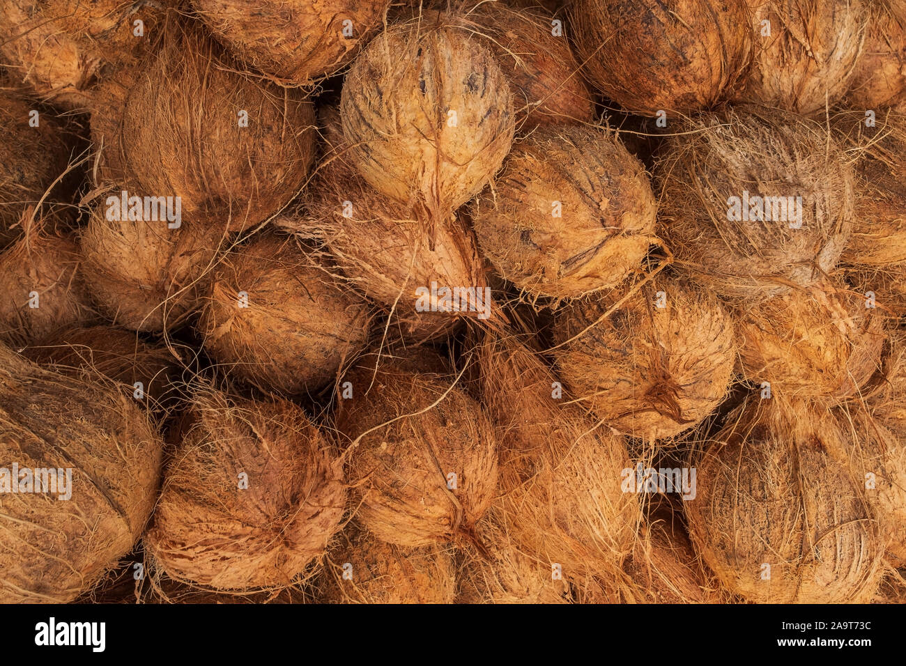 Heap of coconuts hi-res stock photography and images - Alamy
