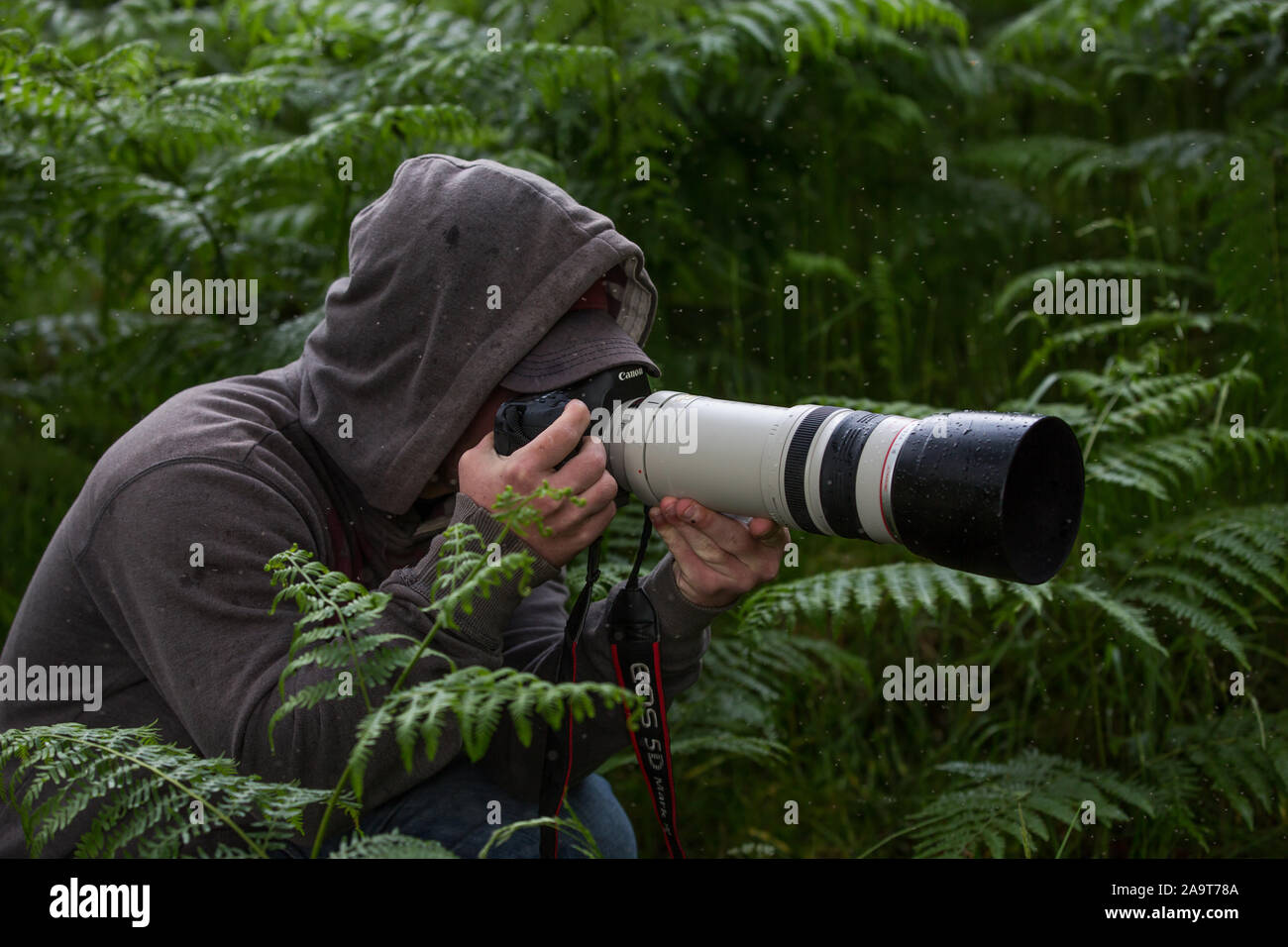 Oliver Hellowell Photographer with Down Syndrome surrounded by Midges ...