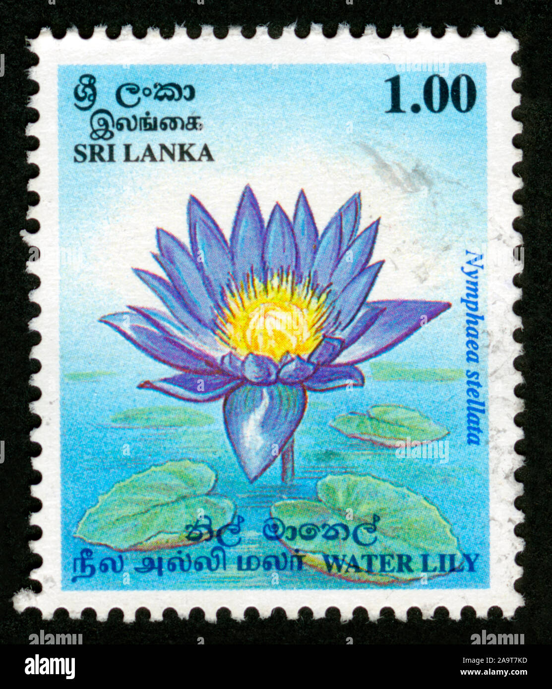 Sri lanka stamp hi-res stock photography and images - Alamy