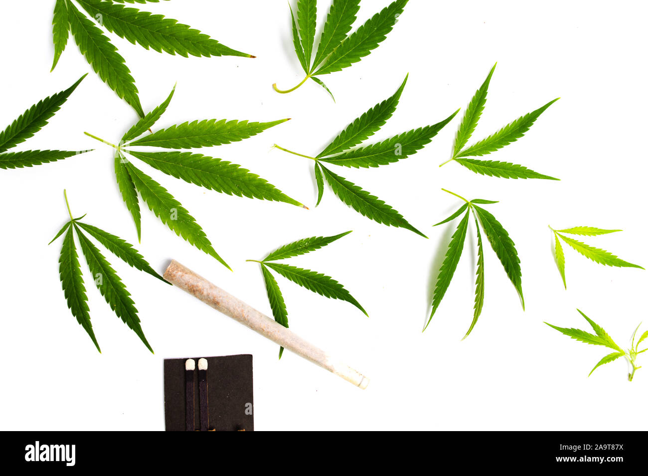 Cannabis leaf hi-res stock photography and images - Alamy