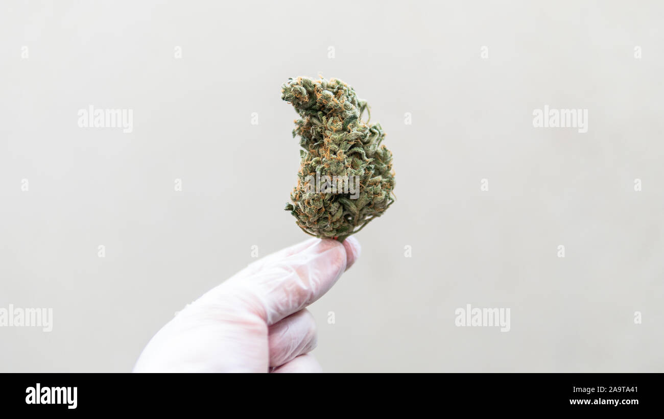 Medicinal quality control hi-res stock photography and images - Alamy