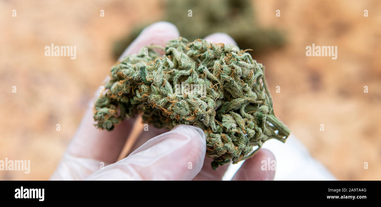 Medicinal quality control hi-res stock photography and images - Alamy