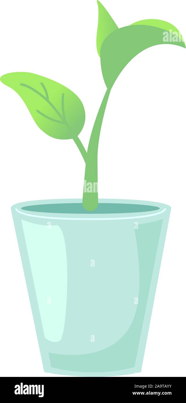 House interior decoration green Cut Out Stock Images & Pictures - Alamy