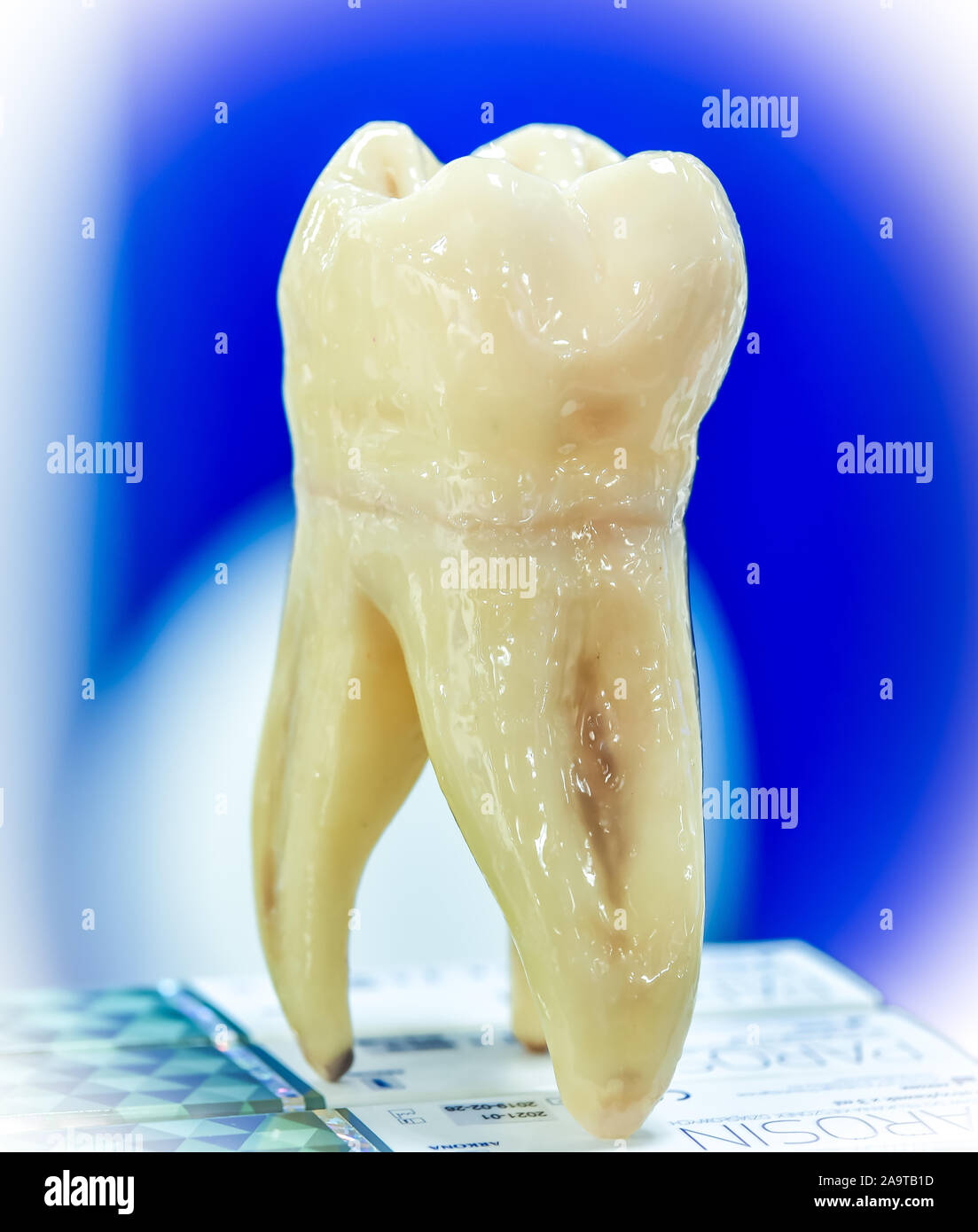 Dentistry trade show hi-res stock photography and images - Alamy