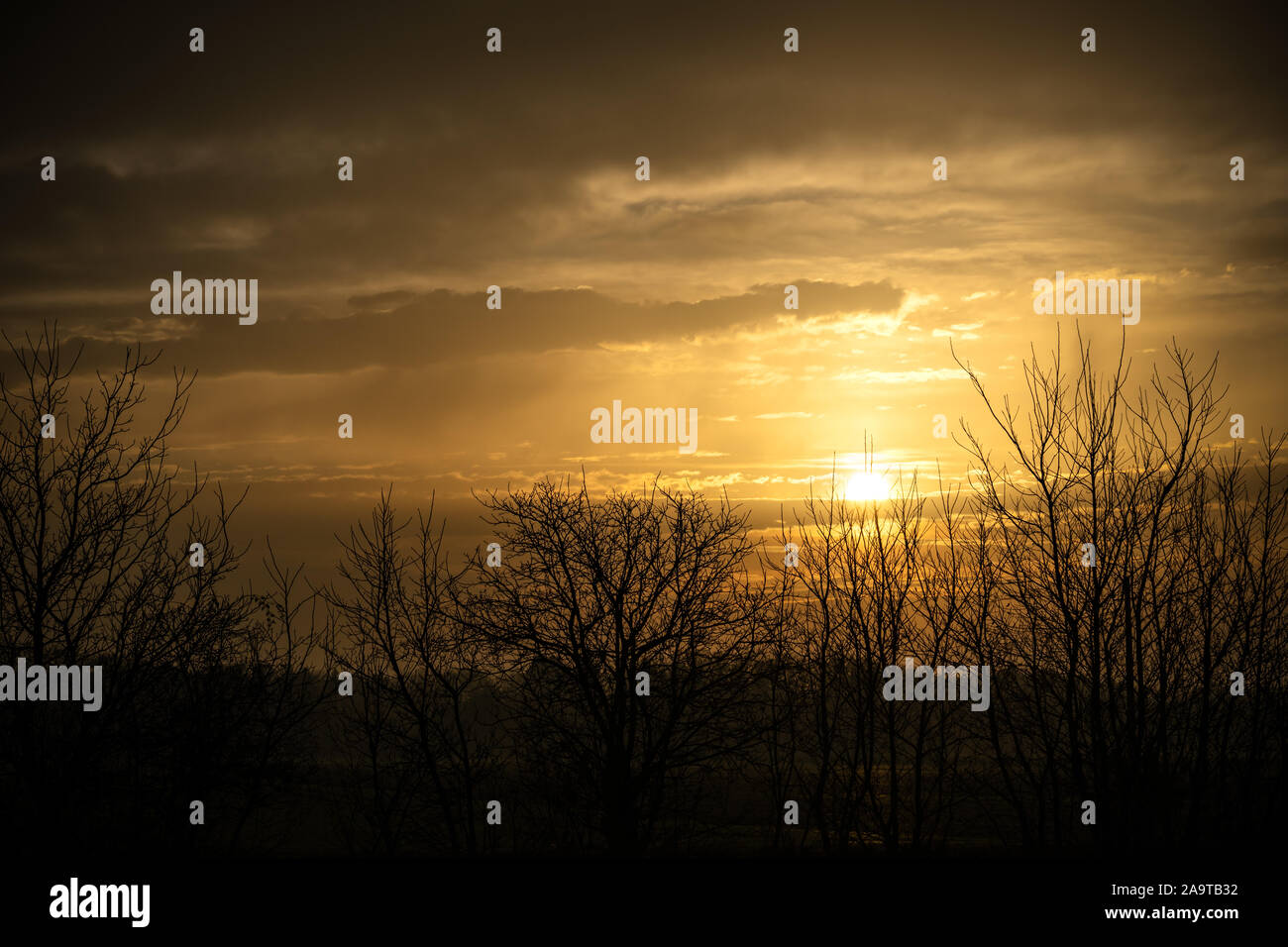 Sunset in countryside trees hi-res stock photography and images - Alamy