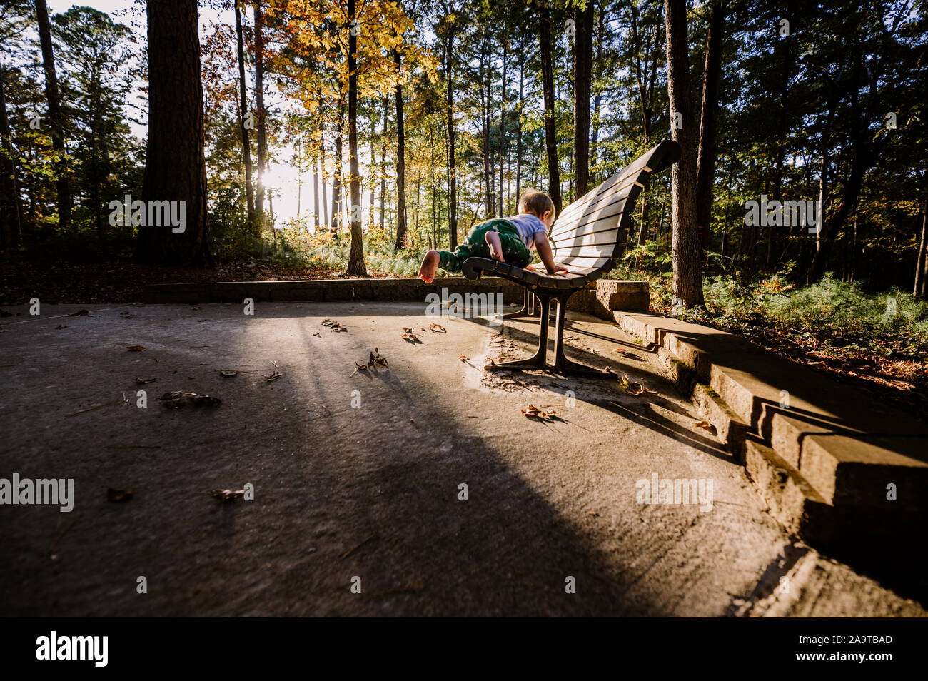 Cute baby climbing on park bench Stock Photo - Alamy