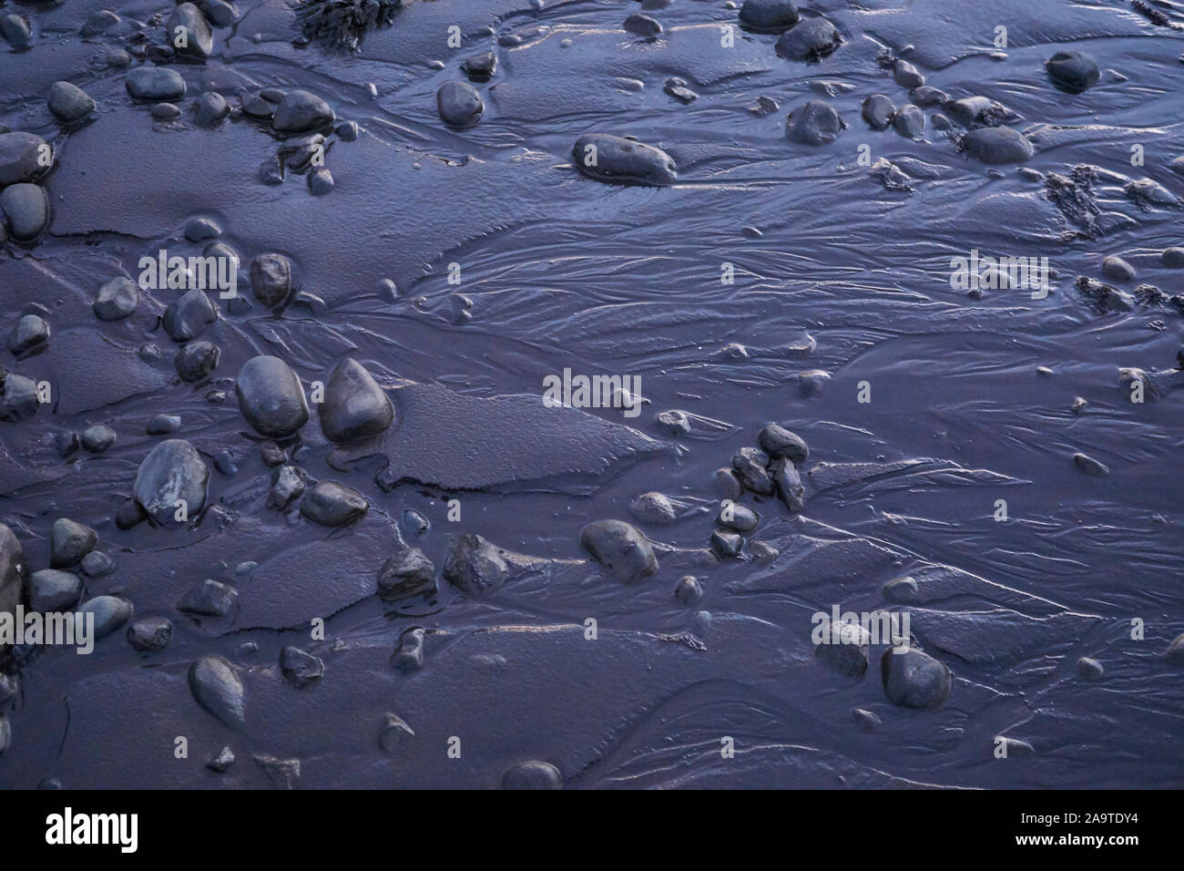 Deep sea mud sand hi-res stock photography and images - Alamy