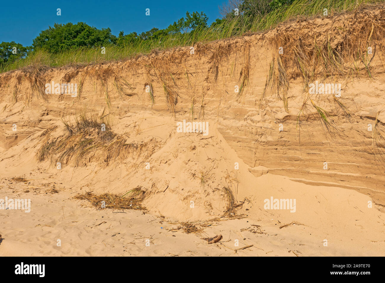 Beach Erosion on a Lake Michigan Shore near Montague,. Michigan Stock ...