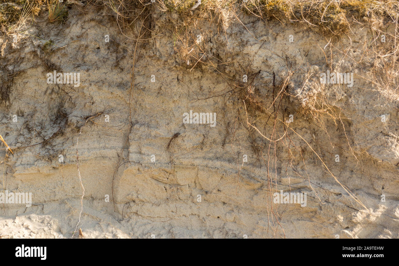 detail of layers of soil on a sand Stock Photo - Alamy