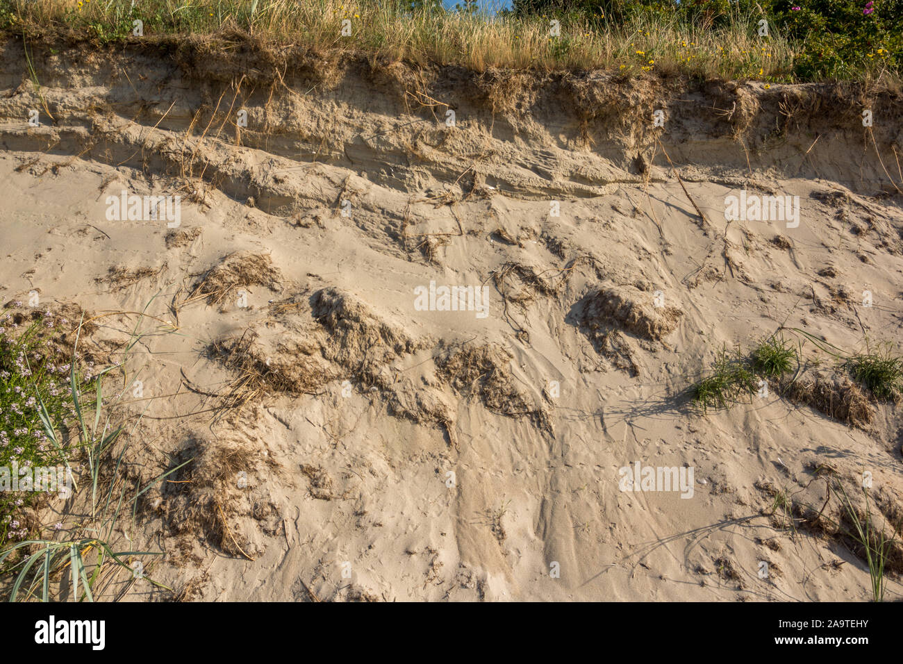 detail of layers of soil on a sand Stock Photo - Alamy