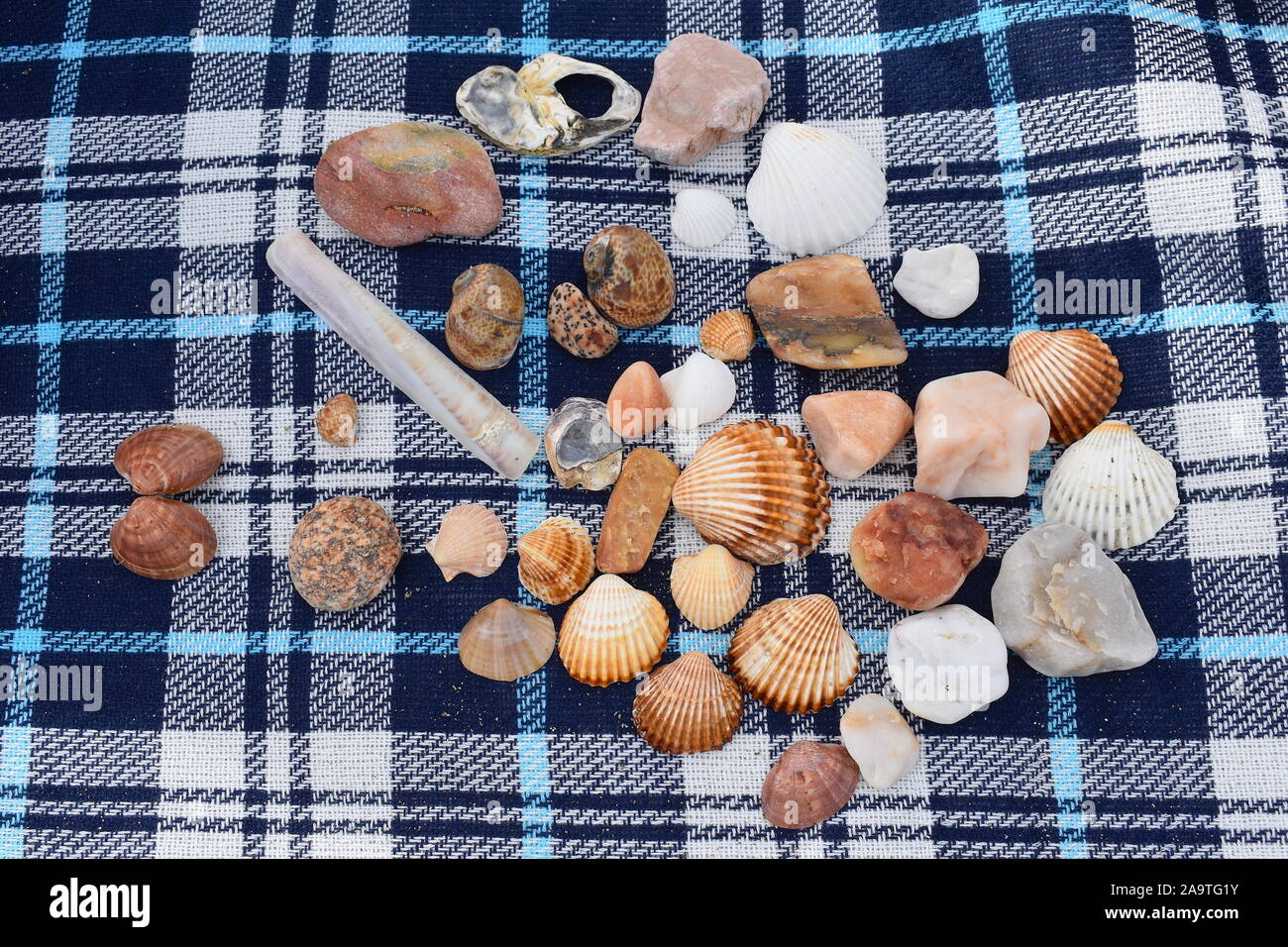 Picking at pebbles hi-res stock photography and images - Alamy
