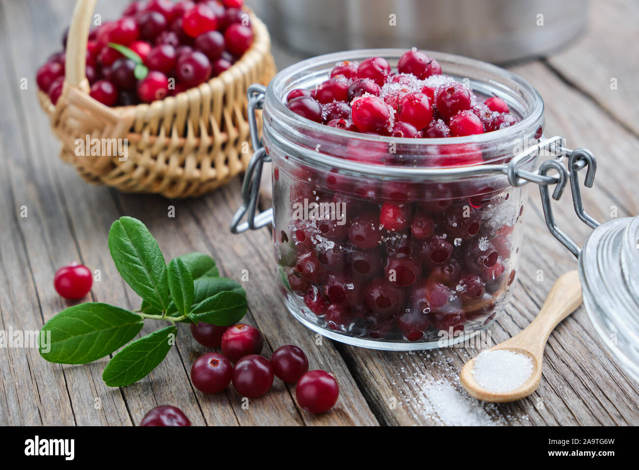 Morsel hi-res stock photography and images - Alamy