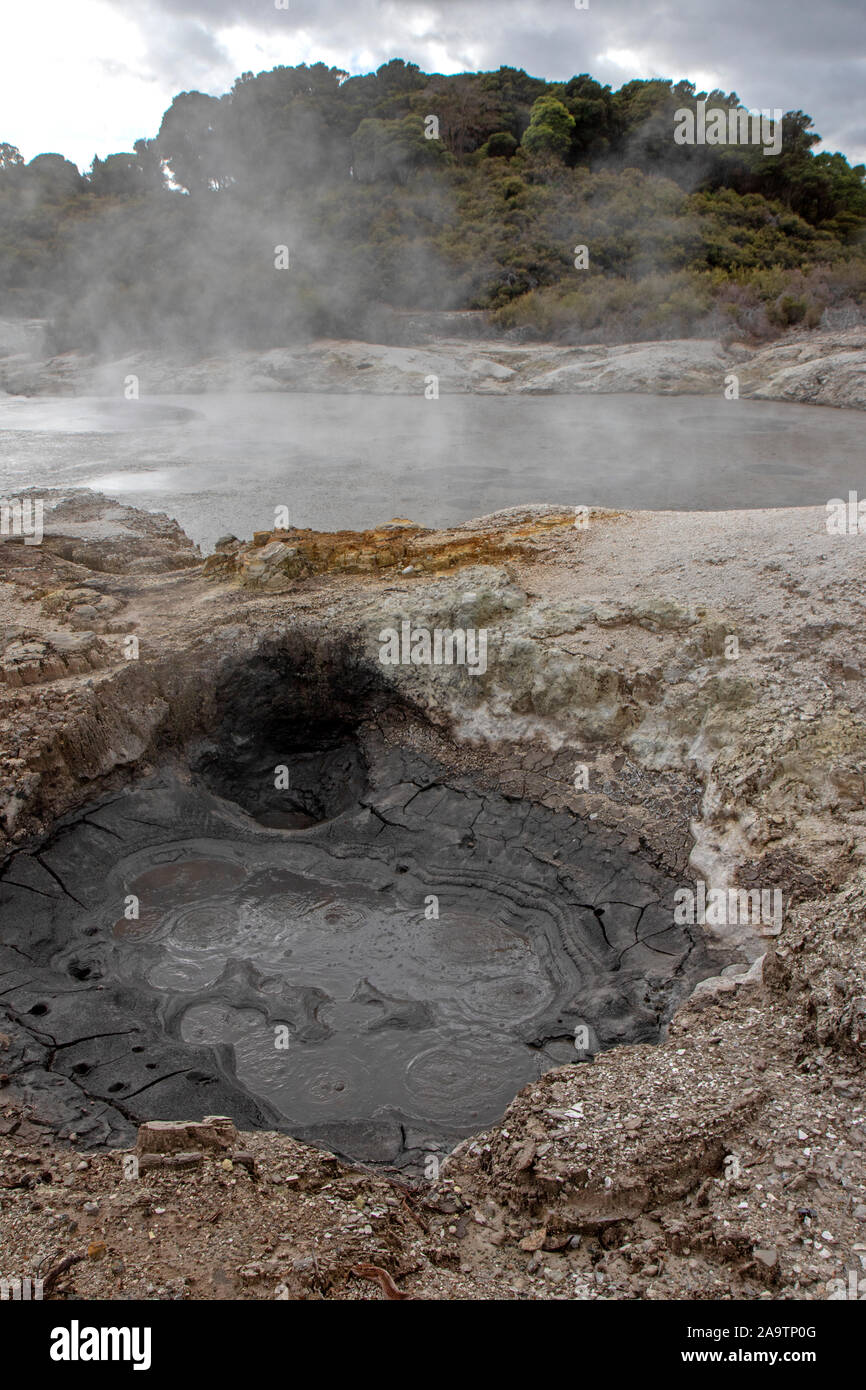 Mud pool at the Hell's Gate geothermal field Stock Photo - Alamy