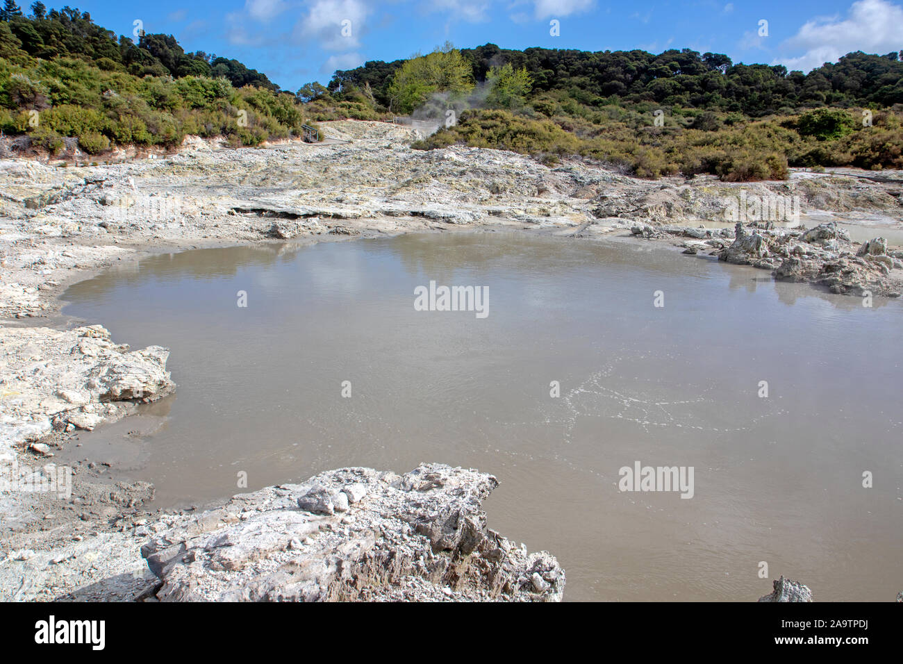 Hell's Gate geothermal field outside of Rotorua Stock Photo - Alamy