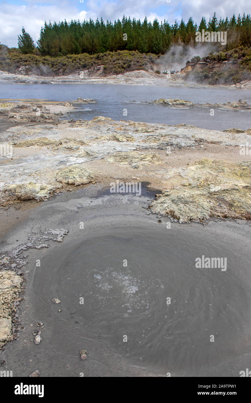 Hell's Gate geothermal field outside of Rotorua Stock Photo - Alamy