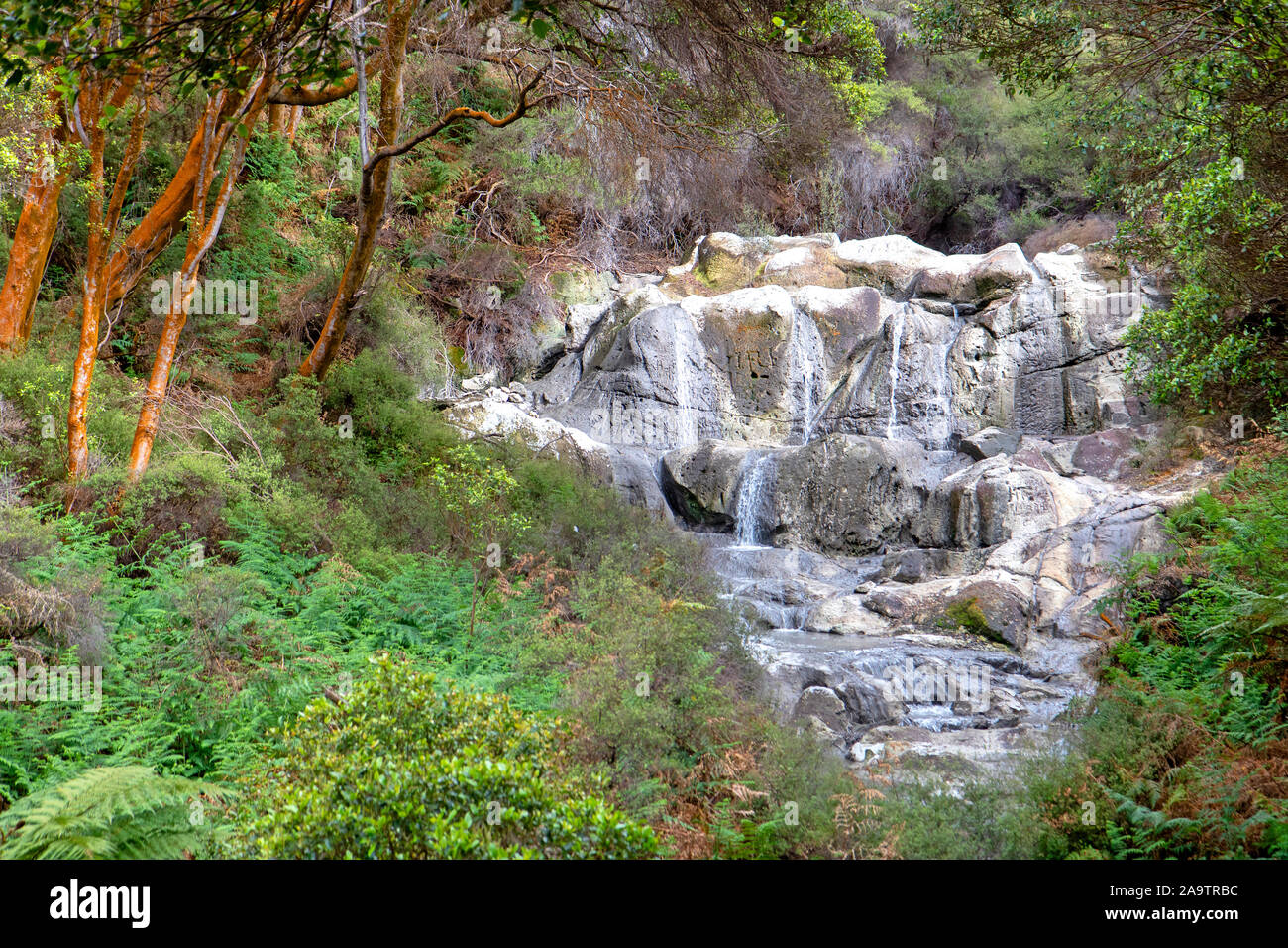 Hell’s gate island hi-res stock photography and images - Alamy