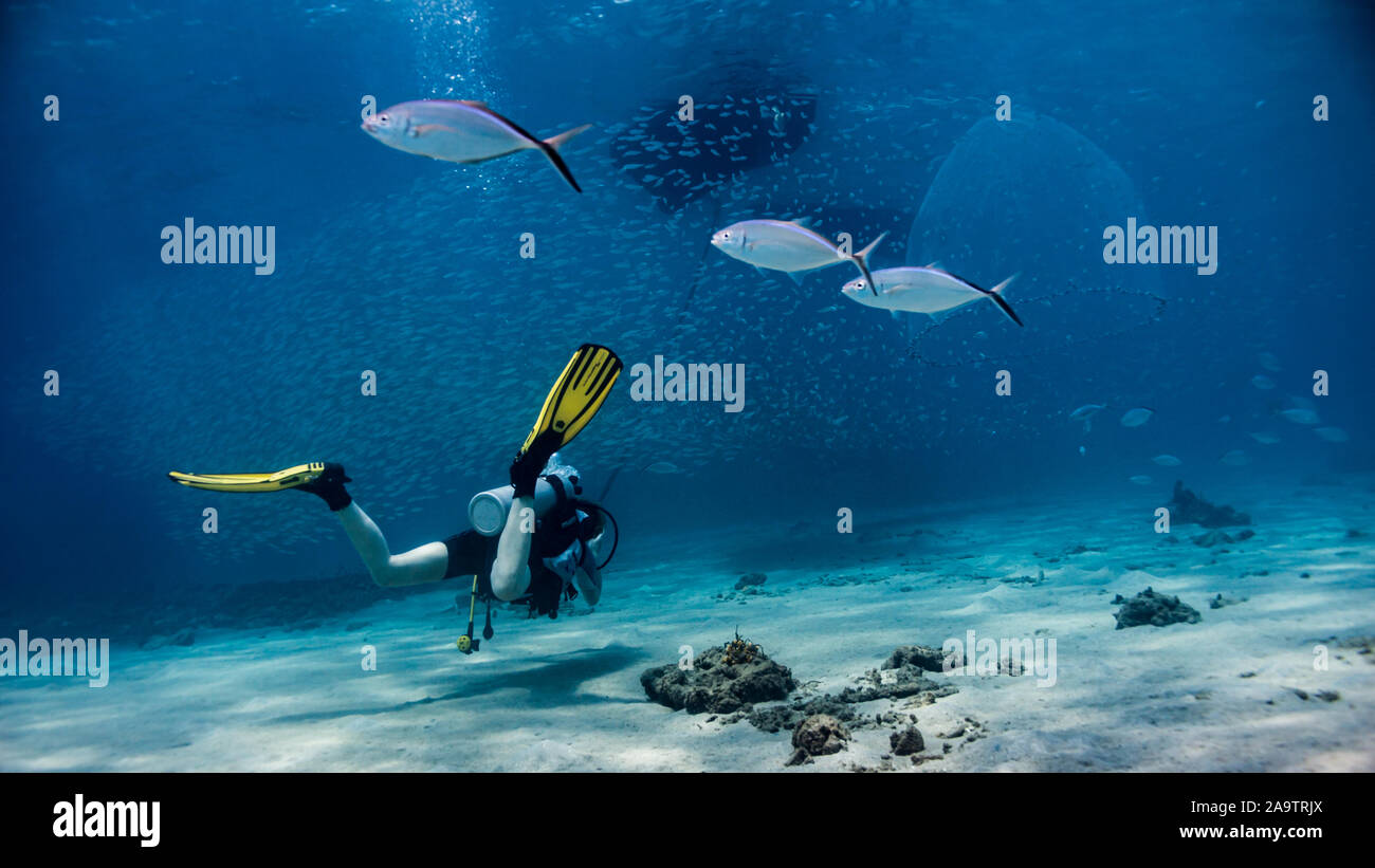 Action loaded picture of female diver under fishing boat photographing ...