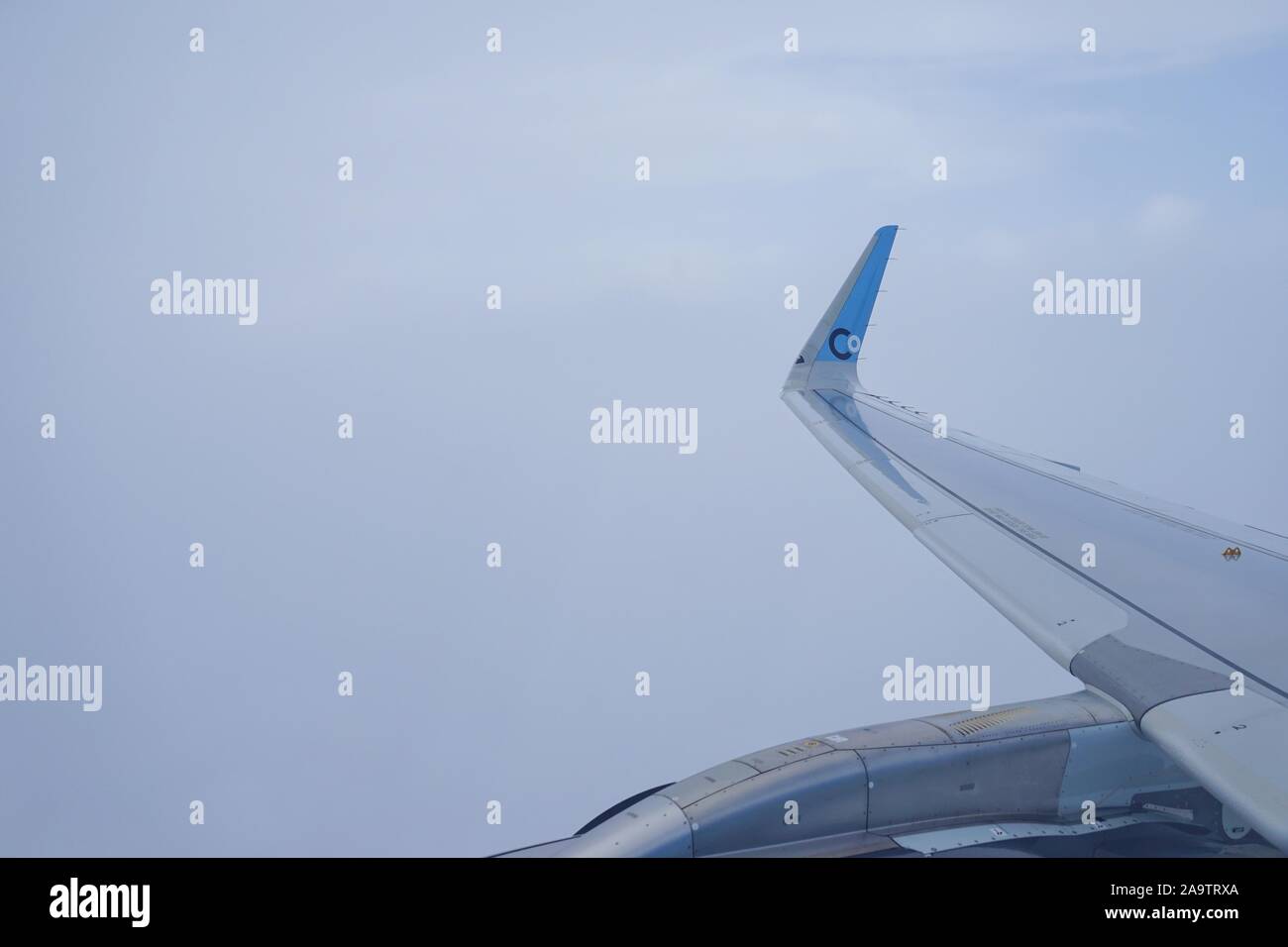 NEWARK, NJ -11 NOV 2019- View of the blue and white winglet of an ...