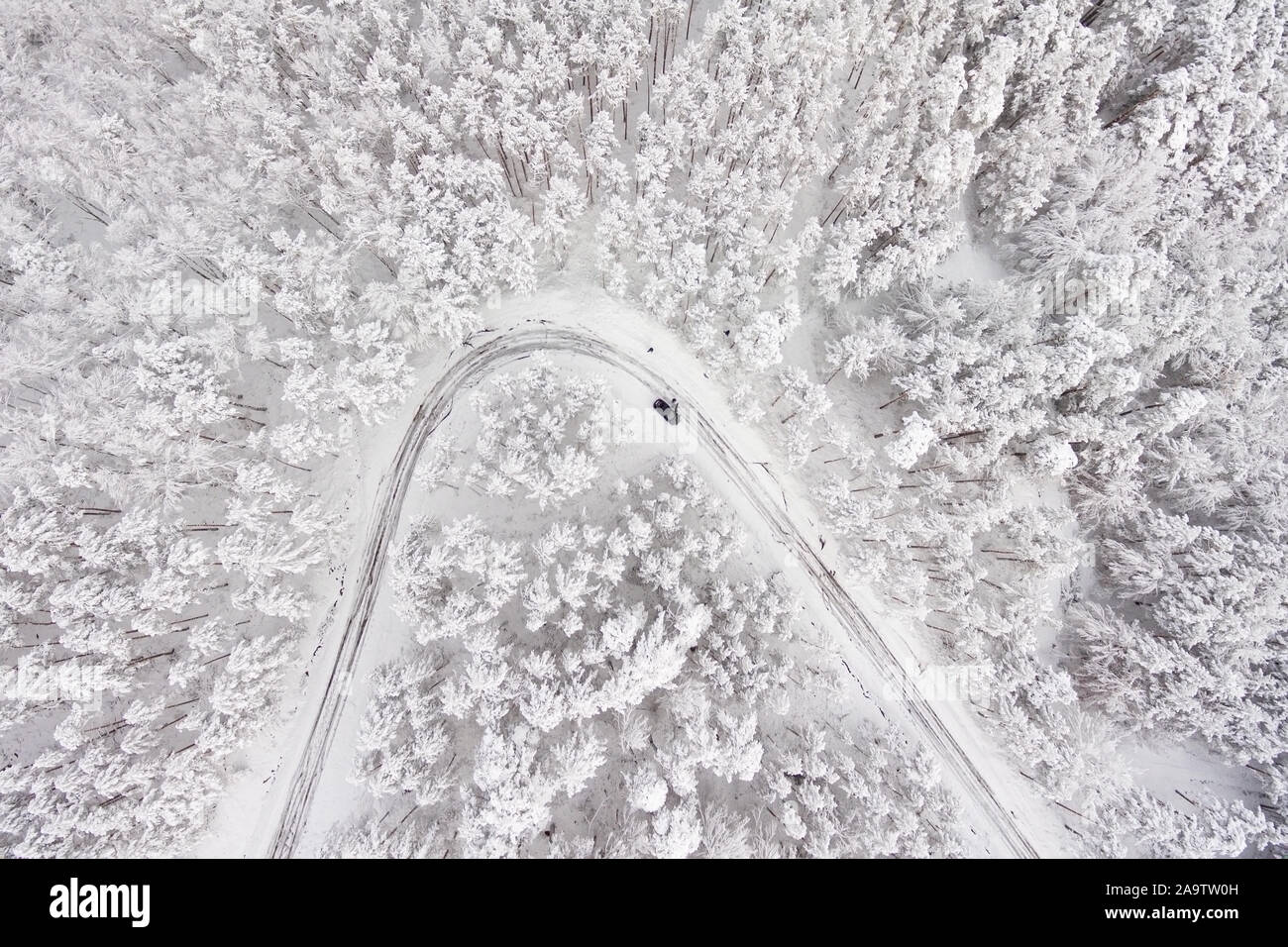 Car on road in winter trough a forest covered with snow. Aerial ...