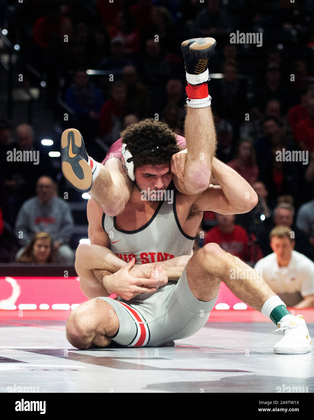 Sammy grey hi-res stock photography and images - Alamy