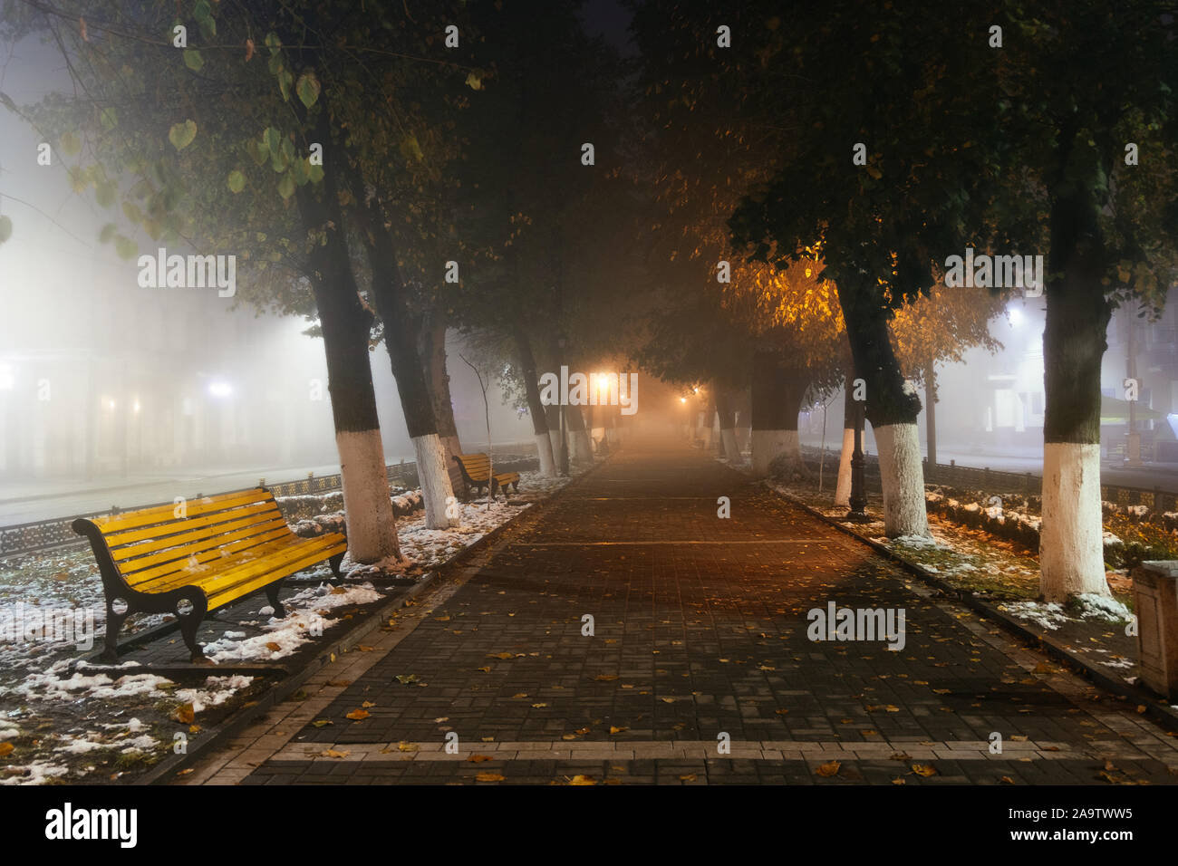 Empty alley at foggy street at night city Stock Photo - Alamy