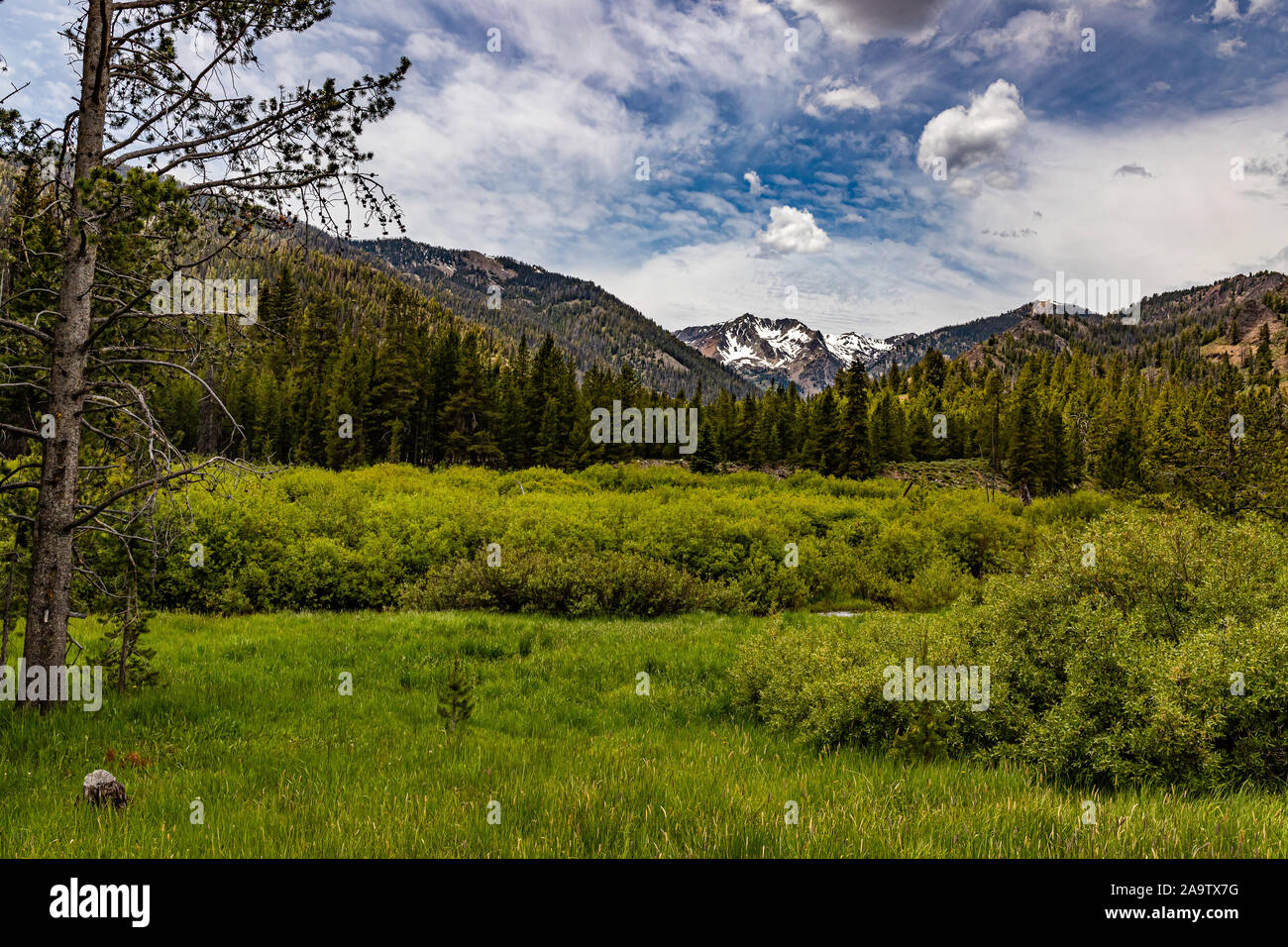 The Sawtooth National Forest covers two million acres in southern Idaho ...