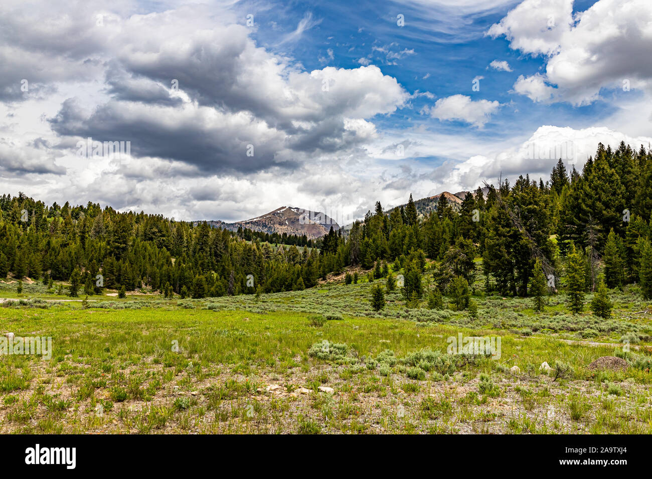 The Sawtooth National Forest covers two million acres in southern Idaho ...