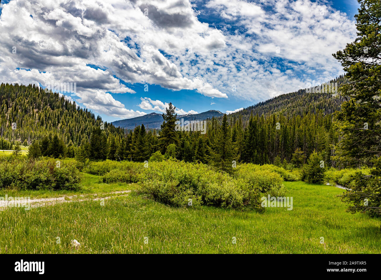 The Sawtooth National Forest covers two million acres in southern Idaho ...