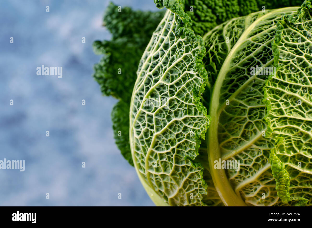 Beautiful Ripe Fresh Green Savoy cabbage on a wooden table Stock Photo ...