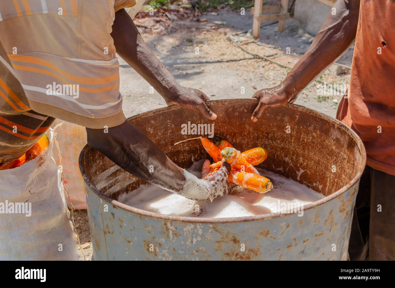 Washing Carrots In Soap Water Stock Photo - Alamy