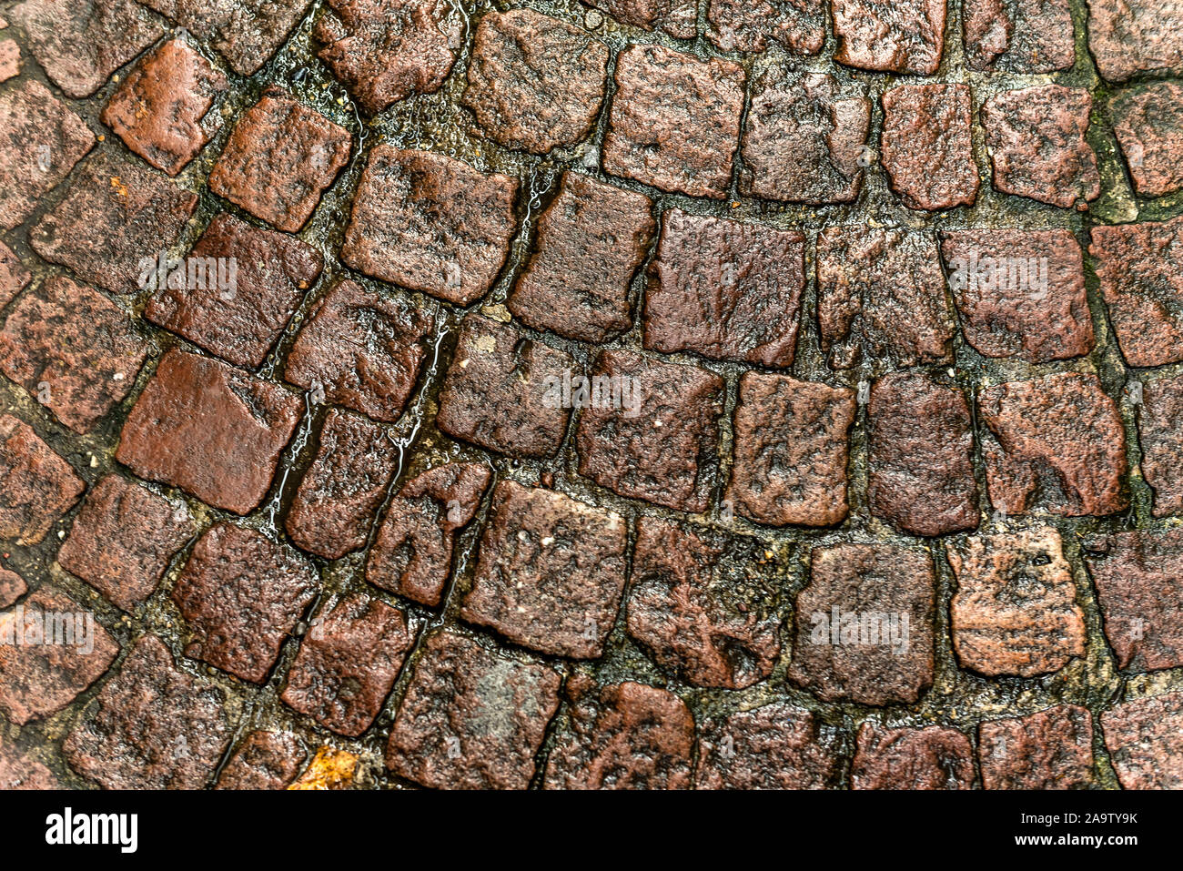 Brick pavement tile top view hi-res stock photography and images - Alamy