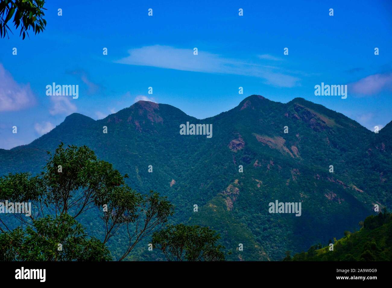 Beautiful scenery range trees hi-res stock photography and images - Alamy