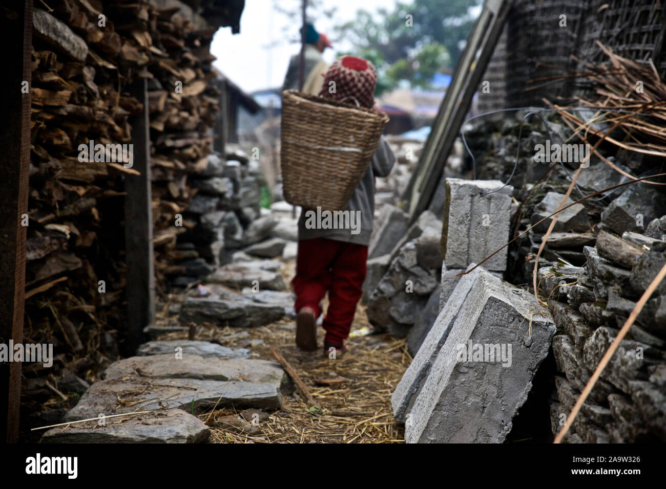 Barpak Village (Ward 4), Gorkha, Nepal. 5 years old Archita Ghale ...