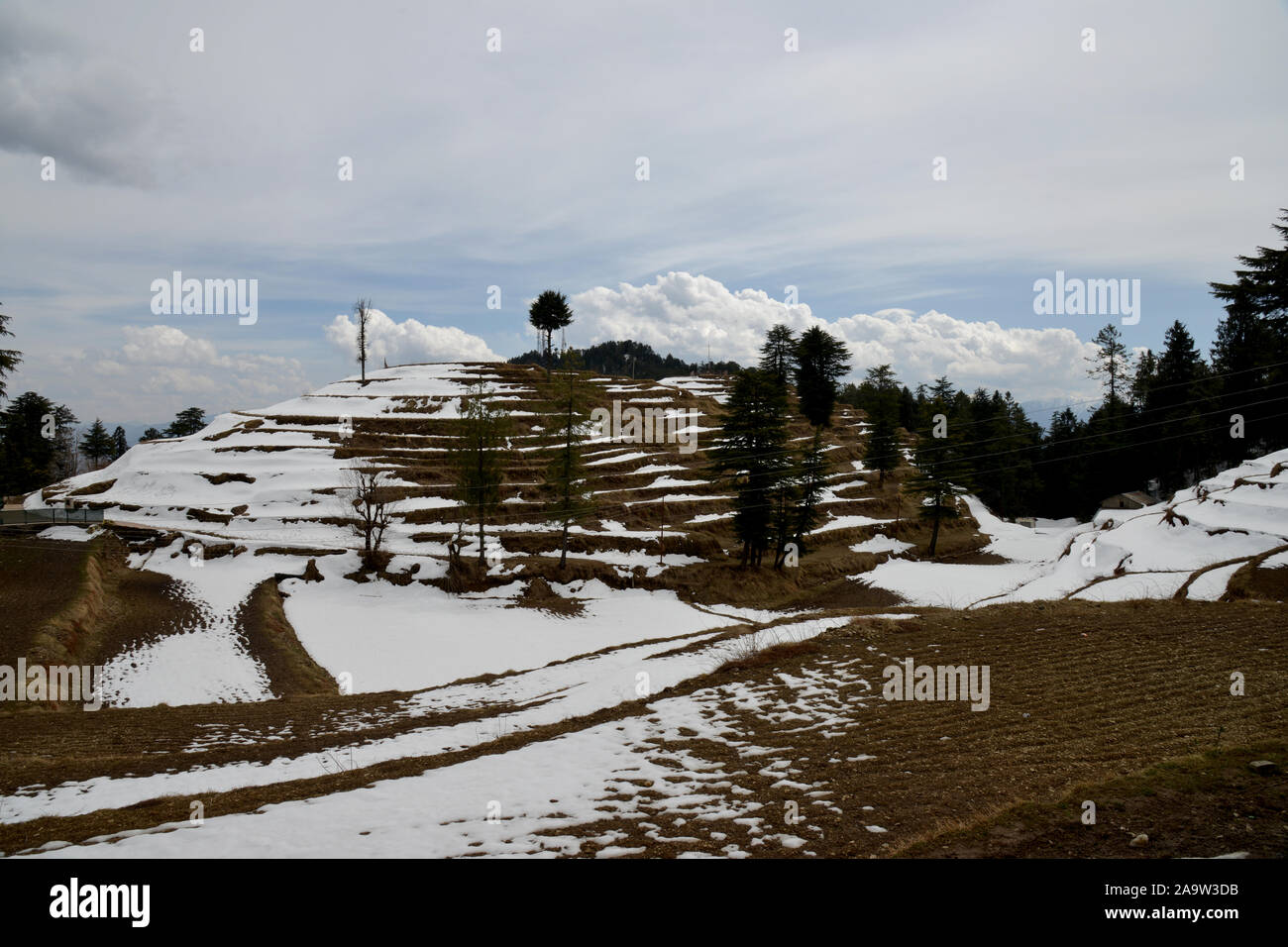 Snowfall in Kufri. 16 km from Shimla at a height of 8,600 ft, Kufri is ...
