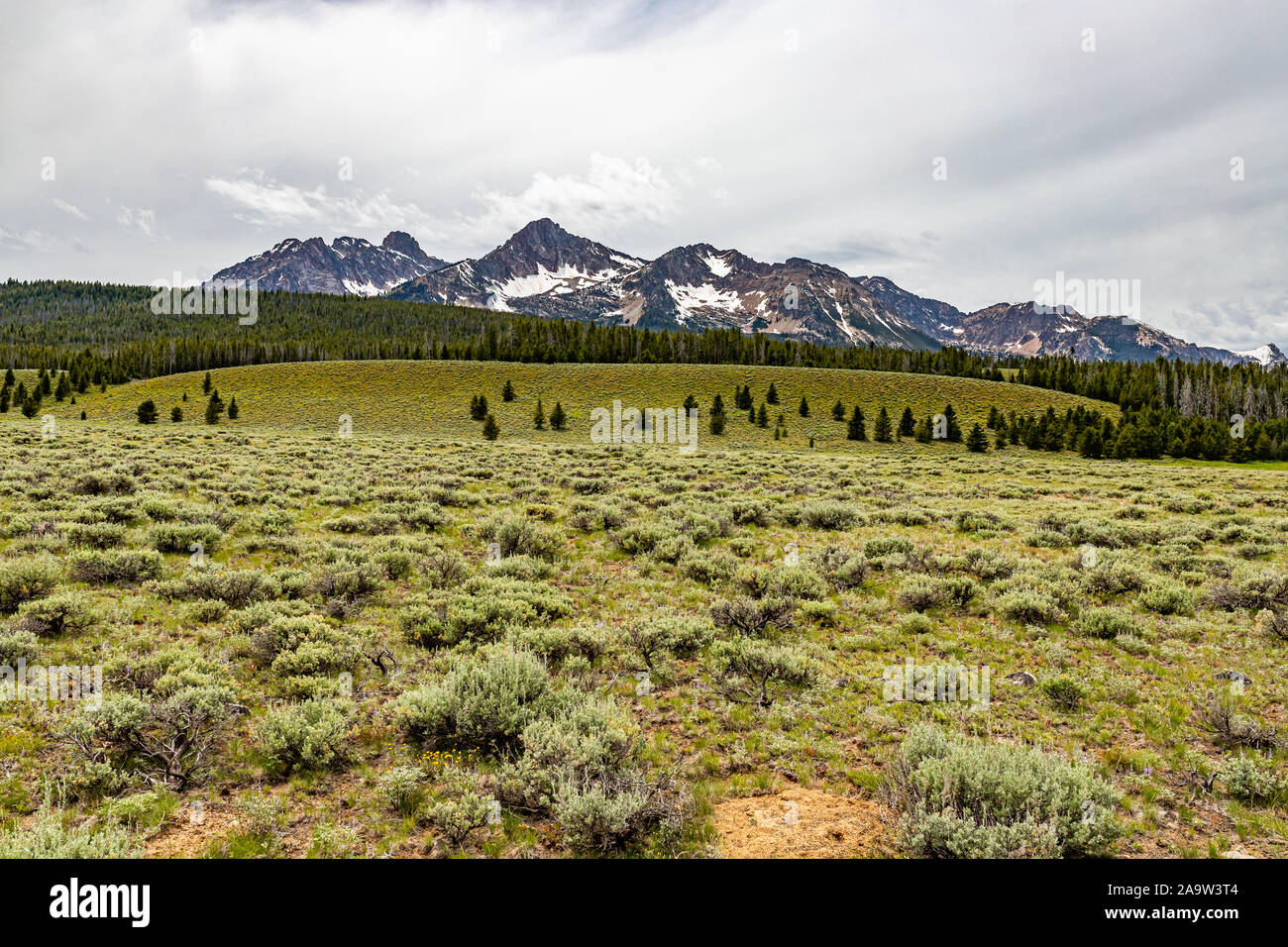 The Sawtooth National Forest covers two million acres in southern Idaho ...